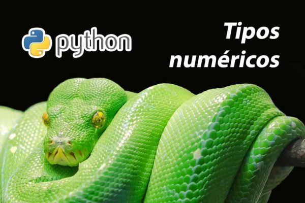 Python: Tipos numéricos - Tech Krowd