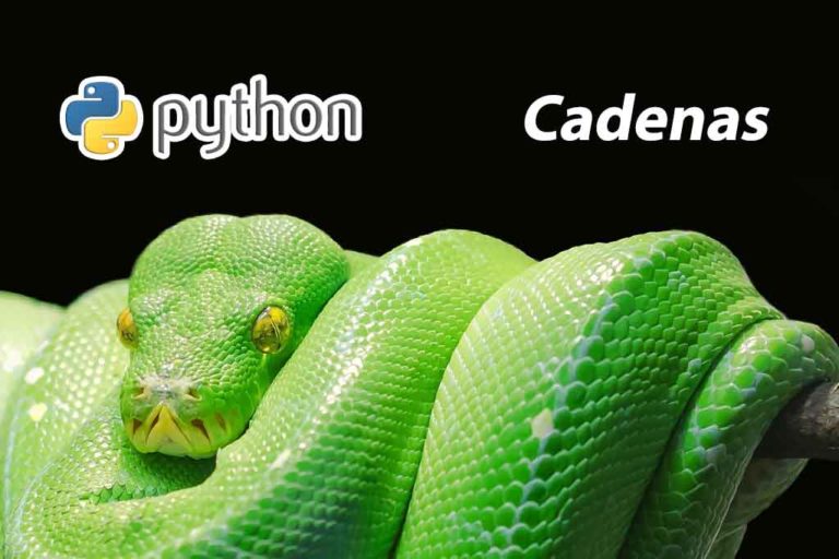 Python: Cadenas de caracteres - Tech Krowd